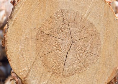 Training | PANELTEK SDN BHD